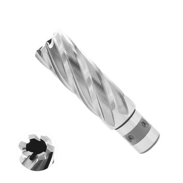 HSS Annular Broach Cutter with Fein Shank for Metal Cutting from China ...